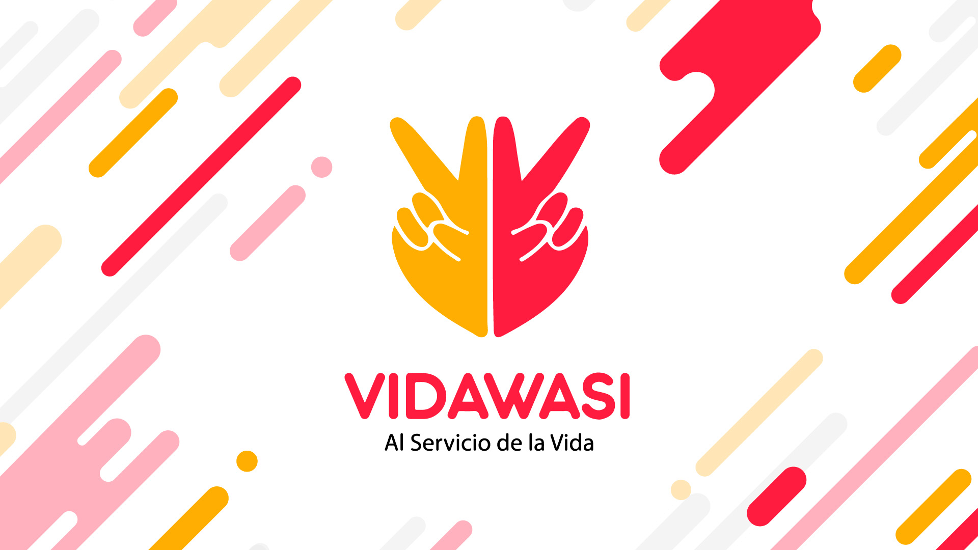 Elena Vivar sobre Vidawasi: «Nace como respuesta frente a la ...